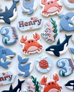 SAMA Sweetery - Custom Cookies | West Sac, CA - Serving Yolo County and ...